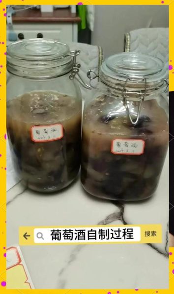 自制葡萄酒的正确方法_家庭酿酒详细步骤视频-第3张图片-山城妙识 自制葡萄酒的正确方法_家庭酿酒详细步骤视频-第3张图片-山城妙识