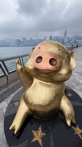 麦兜鱼丸粗面台词图_麦兜鱼丸粗面经典台词-第1张图片-山城妙识 麦兜鱼丸粗面台词图_麦兜鱼丸粗面经典台词-第1张图片-山城妙识