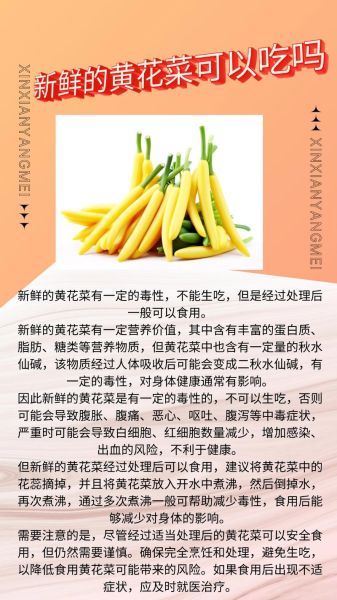 金针菜什么人不能吃_金针菜禁忌有哪些-第3张图片-山城妙识 金针菜什么人不能吃_金针菜禁忌有哪些-第3张图片-山城妙识