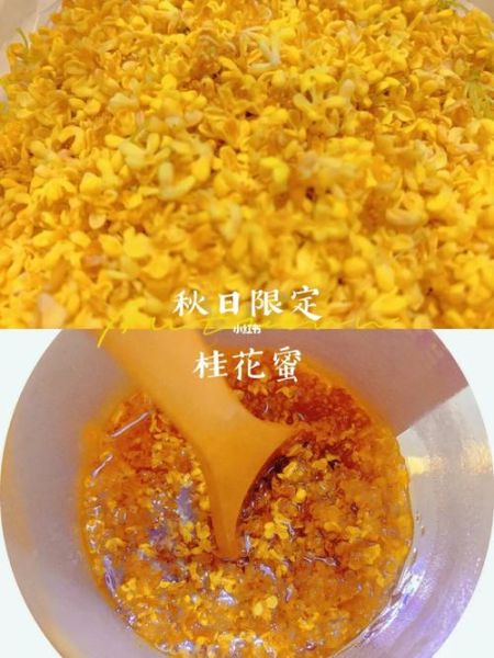 鲜桂花怎么处理_桂花酱的做法-第2张图片-山城妙识 鲜桂花怎么处理_桂花酱的做法-第2张图片-山城妙识