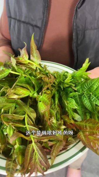 香椿芽炒鸡蛋怎么做_香椿芽要不要焯水-第1张图片-山城妙识 香椿芽炒鸡蛋怎么做_香椿芽要不要焯水-第1张图片-山城妙识