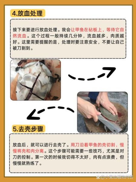 甲鱼怎么宰杀_甲鱼宰杀前怎么处理-第1张图片-山城妙识 甲鱼怎么宰杀_甲鱼宰杀前怎么处理-第1张图片-山城妙识