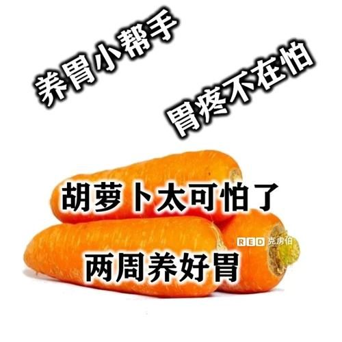 胡萝卜周软件怎么用_胡萝卜周软件安全吗-第1张图片-山城妙识 胡萝卜周软件怎么用_胡萝卜周软件安全吗-第1张图片-山城妙识