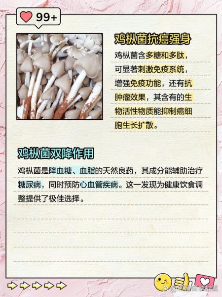 鸡枞菌怎么吃最好_鸡枞菌有什么功效-第1张图片-山城妙识 鸡枞菌怎么吃最好_鸡枞菌有什么功效-第1张图片-山城妙识