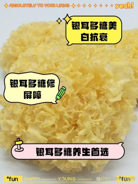 银耳多糖是什么_银耳多糖的功效与作用-第3张图片-山城妙识 银耳多糖是什么_银耳多糖的功效与作用-第3张图片-山城妙识
