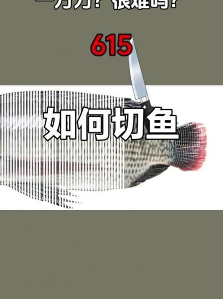 怎样切鱼片_鱼片怎么切才不散-第2张图片-山城妙识 怎样切鱼片_鱼片怎么切才不散-第2张图片-山城妙识