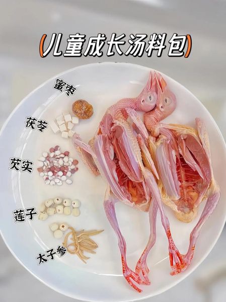 白鸽汤怎么做适合小孩喝_小孩喝白鸽汤的做法-第1张图片-山城妙识 白鸽汤怎么做适合小孩喝_小孩喝白鸽汤的做法-第1张图片-山城妙识