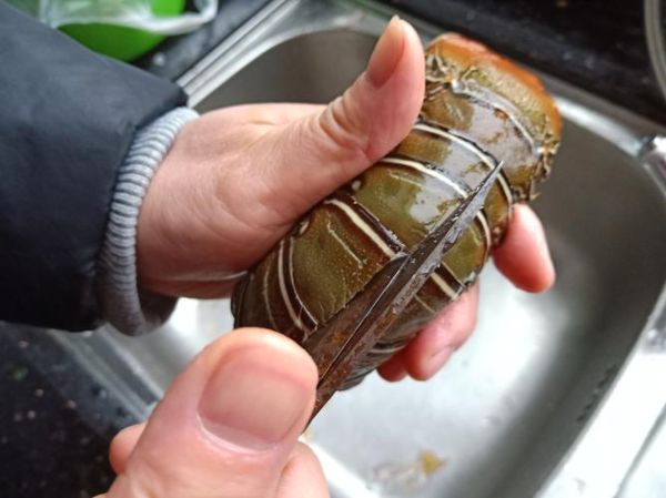 大龙虾怎么清洗_大龙虾清洗最干净的方法-第3张图片-山城妙识 大龙虾怎么清洗_大龙虾清洗最干净的方法-第3张图片-山城妙识