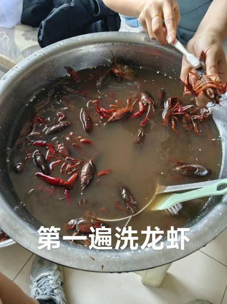 大龙虾怎么清洗_大龙虾清洗最干净的方法-第2张图片-山城妙识 大龙虾怎么清洗_大龙虾清洗最干净的方法-第2张图片-山城妙识
