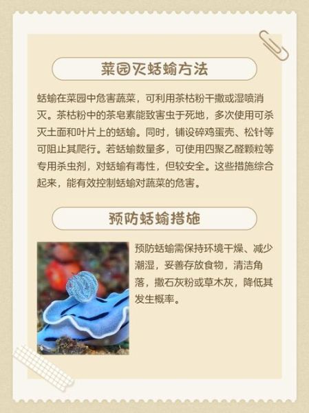 蛞蝓怎么彻底消灭_蛞蝓有毒吗-第1张图片-山城妙识 蛞蝓怎么彻底消灭_蛞蝓有毒吗-第1张图片-山城妙识