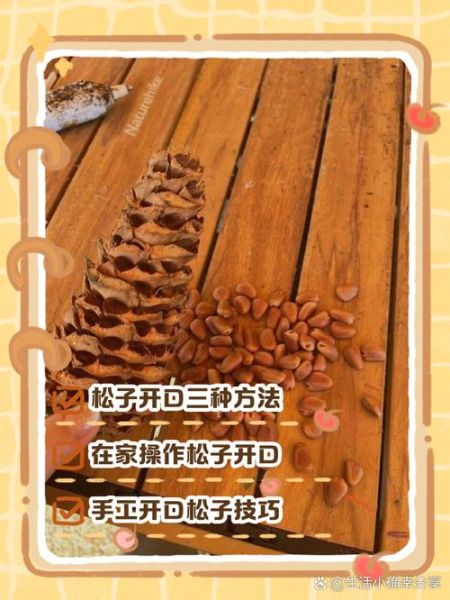 野生松子怎么炒能开口_松子不开口怎么办-第1张图片-山城妙识 野生松子怎么炒能开口_松子不开口怎么办-第1张图片-山城妙识