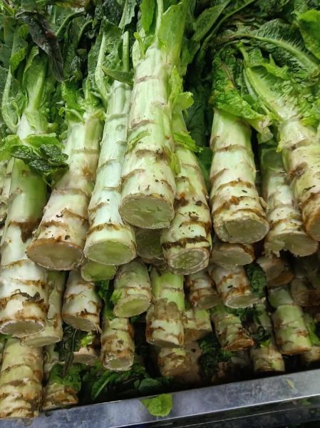 莴笋图片大全大图_莴笋怎么挑选最新鲜-第1张图片-山城妙识 莴笋图片大全大图_莴笋怎么挑选最新鲜-第1张图片-山城妙识