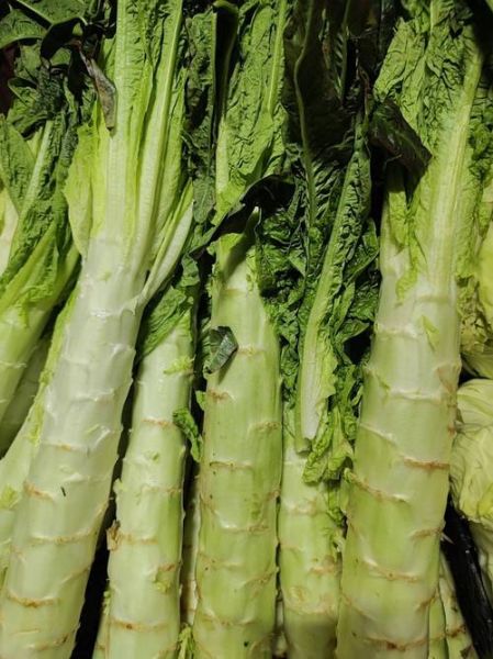 莴笋图片大全大图_莴笋怎么挑选最新鲜-第3张图片-山城妙识 莴笋图片大全大图_莴笋怎么挑选最新鲜-第3张图片-山城妙识