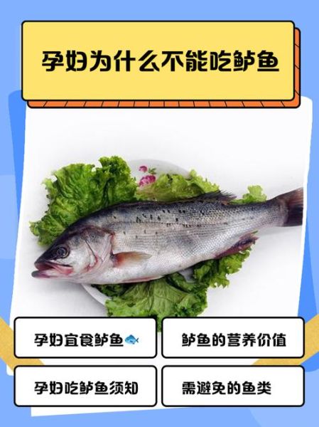 孕妇不能吃什么鱼_孕期哪些鱼含汞高-第1张图片-山城妙识 孕妇不能吃什么鱼_孕期哪些鱼含汞高-第1张图片-山城妙识