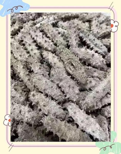 干海参发白是发霉了吗_还能不能吃-第1张图片-山城妙识 干海参发白是发霉了吗_还能不能吃-第1张图片-山城妙识