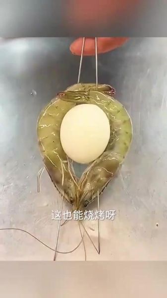 虾扯蛋图片大全_搞笑图片哪里找-第3张图片-山城妙识 虾扯蛋图片大全_搞笑图片哪里找-第3张图片-山城妙识