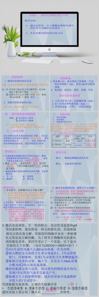 淀粉酶是什么_淀粉酶的作用有哪些-第1张图片-山城妙识