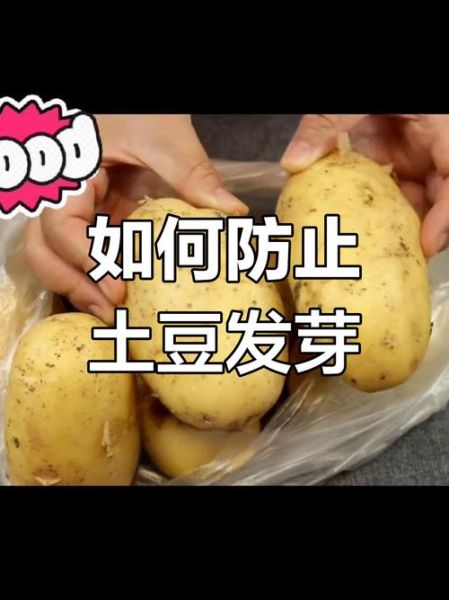 马铃薯怎么保存不发芽_马铃薯发芽了还能吃吗-第3张图片-山城妙识 马铃薯怎么保存不发芽_马铃薯发芽了还能吃吗-第3张图片-山城妙识