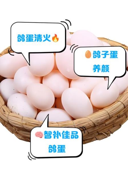 鸽子蛋补肾壮阳吗_鸽子蛋壮阳效果怎么样-第2张图片-山城妙识 鸽子蛋补肾壮阳吗_鸽子蛋壮阳效果怎么样-第2张图片-山城妙识