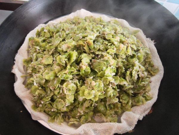 蒸榆钱的功效与作用_蒸榆钱怎么做才好吃-第3张图片-山城妙识 蒸榆钱的功效与作用_蒸榆钱怎么做才好吃-第3张图片-山城妙识