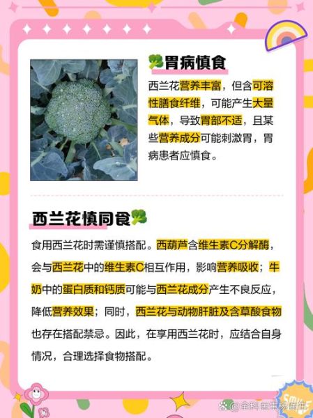 花菜的功效与作用禁忌_什么人不能吃花菜-第3张图片-山城妙识 花菜的功效与作用禁忌_什么人不能吃花菜-第3张图片-山城妙识