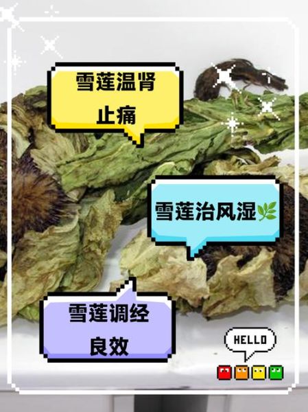 干雪莲花怎么泡水喝_干雪莲花泡水一次放多少-第3张图片-山城妙识 干雪莲花怎么泡水喝_干雪莲花泡水一次放多少-第3张图片-山城妙识