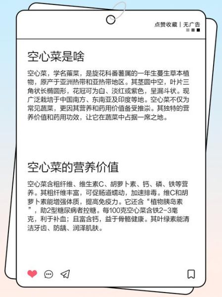 野空心菜的功效与作用_野空心菜怎么吃最营养-第2张图片-山城妙识 野空心菜的功效与作用_野空心菜怎么吃最营养-第2张图片-山城妙识