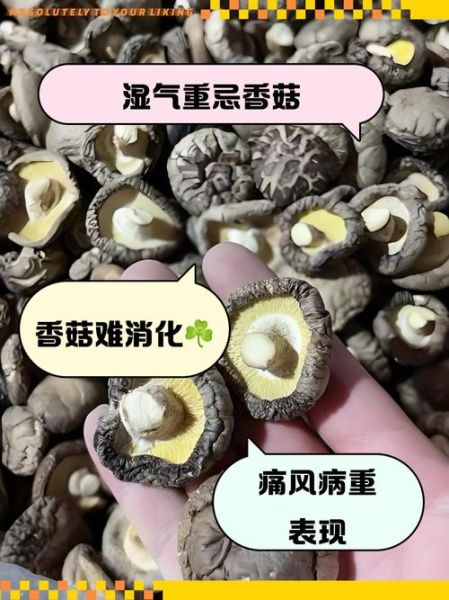 长期吃香菇有什么副作用_香菇吃多了会伤肝肾吗-第3张图片-山城妙识 长期吃香菇有什么副作用_香菇吃多了会伤肝肾吗-第3张图片-山城妙识