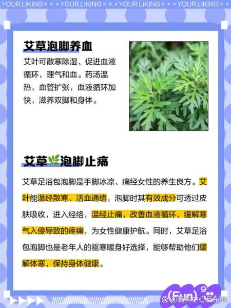艾草有什么功效_艾草泡脚有什么好处-第3张图片-山城妙识 艾草有什么功效_艾草泡脚有什么好处-第3张图片-山城妙识