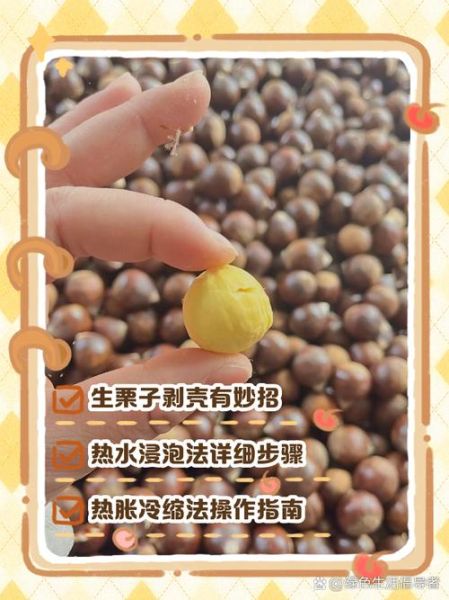 生的栗子怎么剥壳_生栗子快速去皮方法-第1张图片-山城妙识 生的栗子怎么剥壳_生栗子快速去皮方法-第1张图片-山城妙识