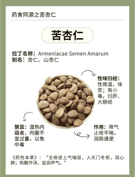 杏仁怎么吃不会中毒_苦杏仁去毒方法-第1张图片-山城妙识 杏仁怎么吃不会中毒_苦杏仁去毒方法-第1张图片-山城妙识