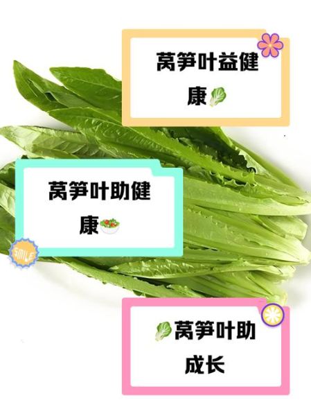 莴笋叶吃了会拉肚子吗_莴笋叶副作用有哪些-第2张图片-山城妙识 莴笋叶吃了会拉肚子吗_莴笋叶副作用有哪些-第2张图片-山城妙识