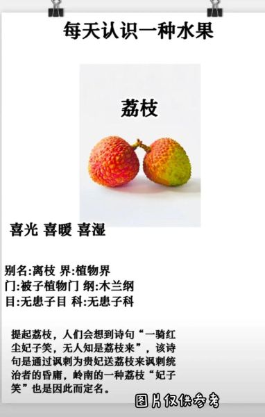 荔枝的营养价值_荔枝吃多了有什么副作用-第1张图片-山城妙识 荔枝的营养价值_荔枝吃多了有什么副作用-第1张图片-山城妙识