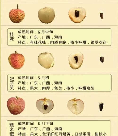 荔枝的营养价值_荔枝吃多了有什么副作用-第3张图片-山城妙识 荔枝的营养价值_荔枝吃多了有什么副作用-第3张图片-山城妙识