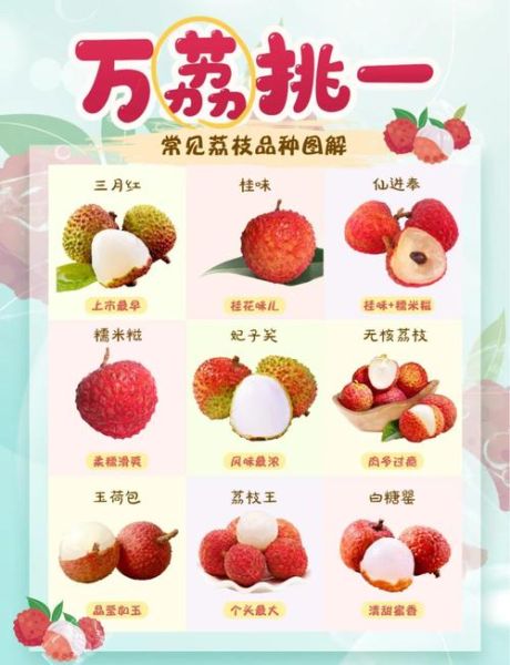 荔枝的营养价值_荔枝吃多了有什么副作用-第2张图片-山城妙识 荔枝的营养价值_荔枝吃多了有什么副作用-第2张图片-山城妙识