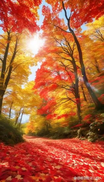 秋天景色图片哪里找_唯美图片怎么拍-第1张图片-山城妙识 秋天景色图片哪里找_唯美图片怎么拍-第1张图片-山城妙识