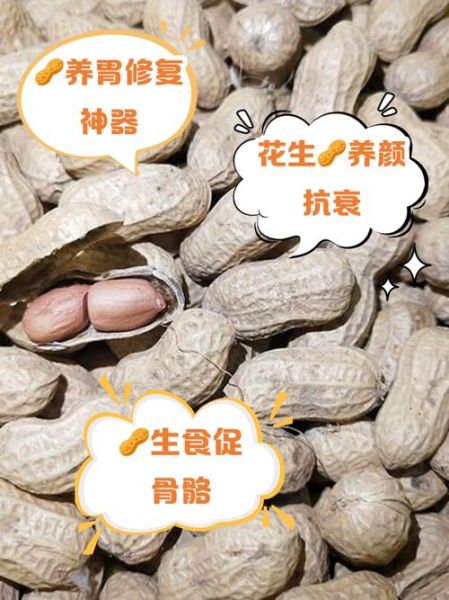 新鲜生花生米的功效与作用_生吃花生米会上火吗-第2张图片-山城妙识 新鲜生花生米的功效与作用_生吃花生米会上火吗-第2张图片-山城妙识