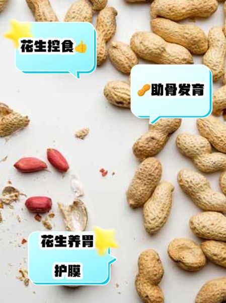 新鲜生花生米的功效与作用_生吃花生米会上火吗-第3张图片-山城妙识 新鲜生花生米的功效与作用_生吃花生米会上火吗-第3张图片-山城妙识