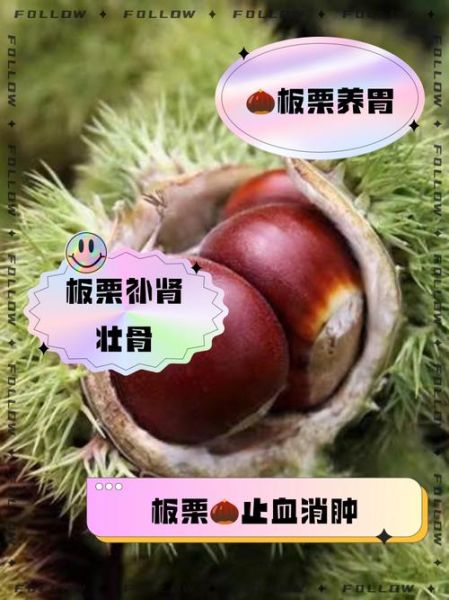 生板栗的功效与作用_生板栗怎么吃最补肾-第1张图片-山城妙识 生板栗的功效与作用_生板栗怎么吃最补肾-第1张图片-山城妙识