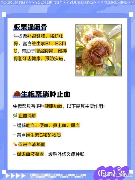 生板栗的功效与作用_生板栗怎么吃最补肾-第3张图片-山城妙识 生板栗的功效与作用_生板栗怎么吃最补肾-第3张图片-山城妙识