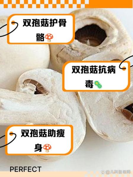 双孢蘑菇怎么清洗_双孢蘑菇清洗技巧-第2张图片-山城妙识 双孢蘑菇怎么清洗_双孢蘑菇清洗技巧-第2张图片-山城妙识