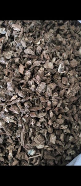 续断图片大全大图_续断长什么样-第3张图片-山城妙识 续断图片大全大图_续断长什么样-第3张图片-山城妙识