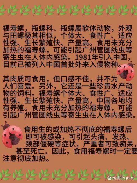 福寿螺能吃吗_福寿螺有毒吗-第1张图片-山城妙识 福寿螺能吃吗_福寿螺有毒吗-第1张图片-山城妙识