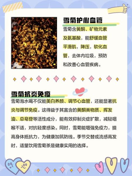 冰山雪菊的功效与作用_冰山雪菊能降血压吗-第1张图片-山城妙识 冰山雪菊的功效与作用_冰山雪菊能降血压吗-第1张图片-山城妙识