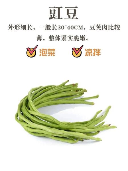 豇豆品种怎么选_高产豇豆哪个品种好-第1张图片-山城妙识 豇豆品种怎么选_高产豇豆哪个品种好-第1张图片-山城妙识