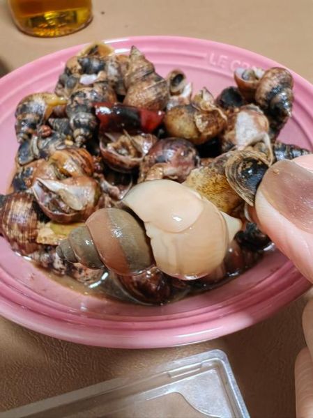 香螺怎么做好吃_香螺的清洗方法-第2张图片-山城妙识 香螺怎么做好吃_香螺的清洗方法-第2张图片-山城妙识