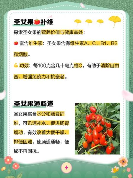 圣女果的营养价值及功效_圣女果一天吃多少合适-第1张图片-山城妙识 圣女果的营养价值及功效_圣女果一天吃多少合适-第1张图片-山城妙识