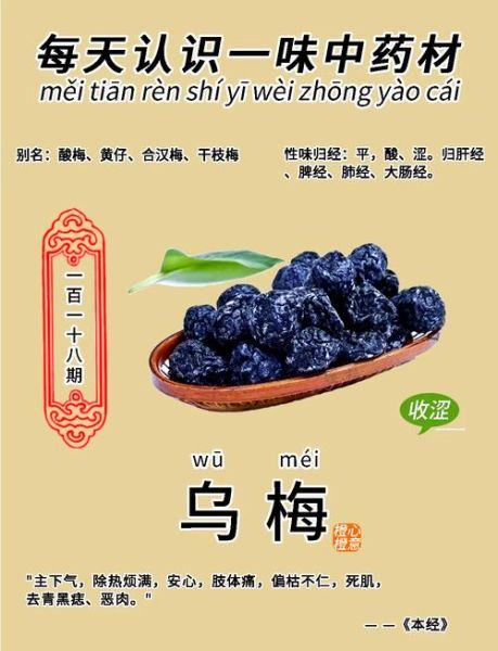 新鲜乌梅多少钱一斤_如何挑选优质乌梅-第3张图片-山城妙识 新鲜乌梅多少钱一斤_如何挑选优质乌梅-第3张图片-山城妙识