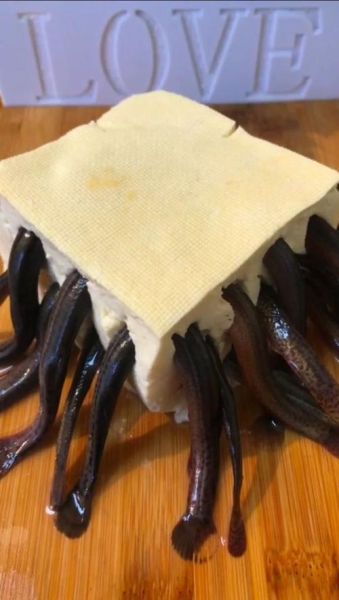 活泥鳅钻豆腐怎么做_活泥鳅钻豆腐窍门-第2张图片-山城妙识 活泥鳅钻豆腐怎么做_活泥鳅钻豆腐窍门-第2张图片-山城妙识