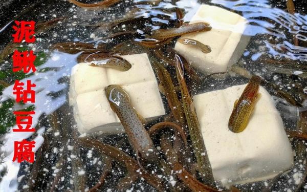 活泥鳅钻豆腐怎么做_活泥鳅钻豆腐窍门-第3张图片-山城妙识 活泥鳅钻豆腐怎么做_活泥鳅钻豆腐窍门-第3张图片-山城妙识